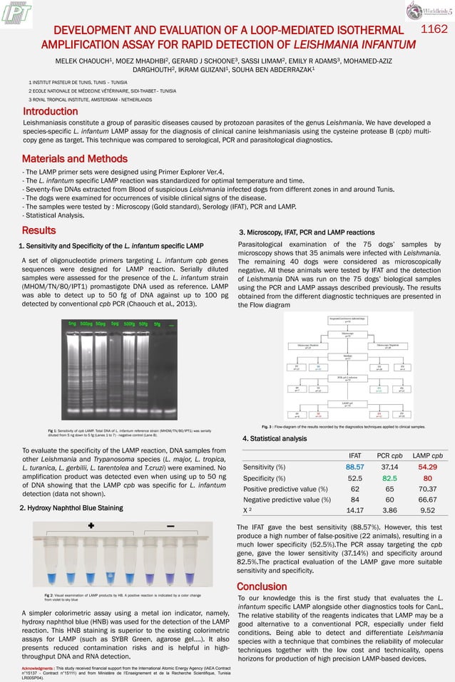 DEVELOPMENT AND EVALUATION OF A LOOP-MEDIATED ISOTHERMAL AMPLIFICATION ASSAY FOR RAPID DETECTION ...
