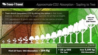 Sustainability a Once in a Life Time Opportunity - Trees4Travel | PPT