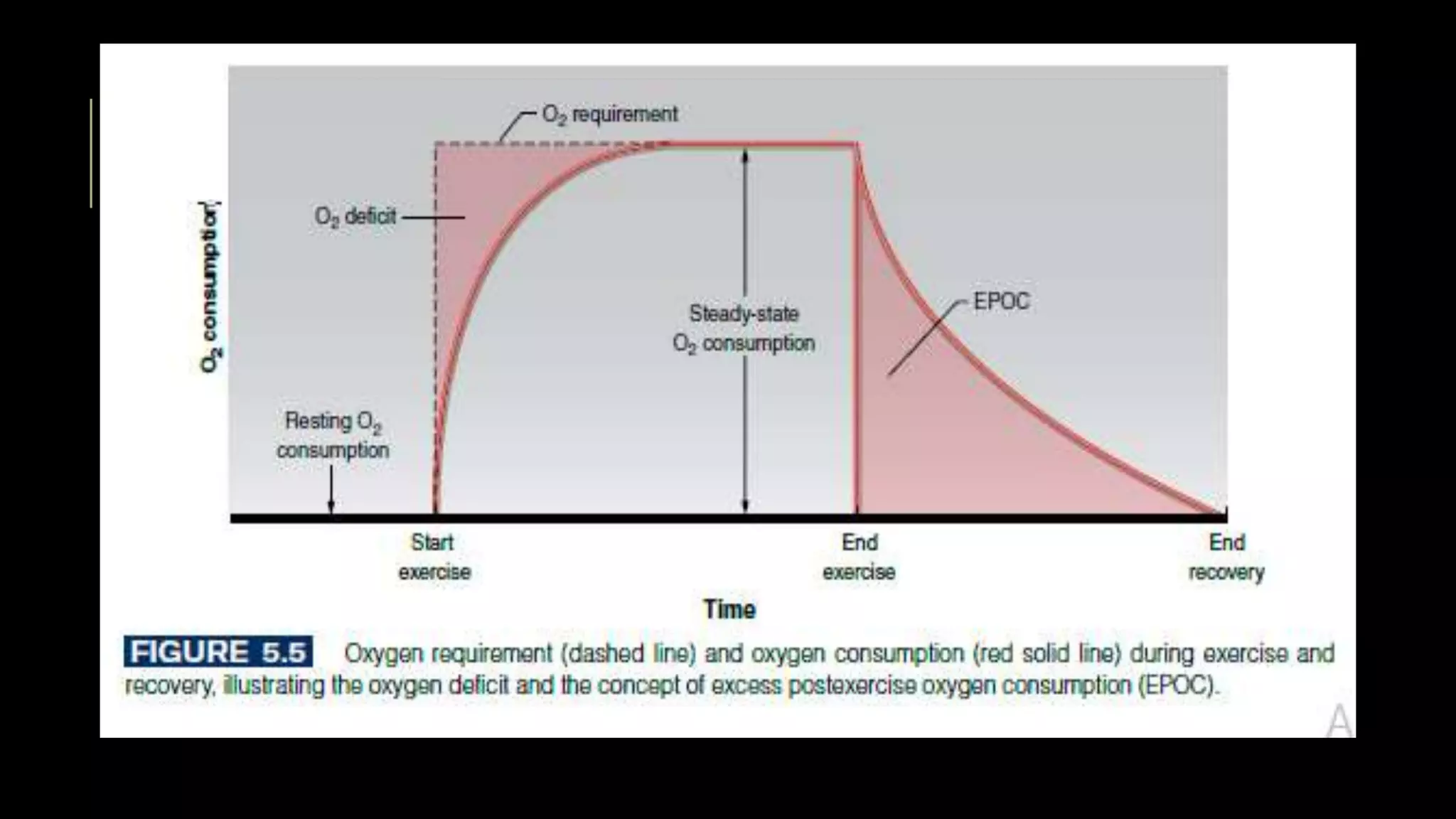 Post exercise oxygen consumption | PPTX