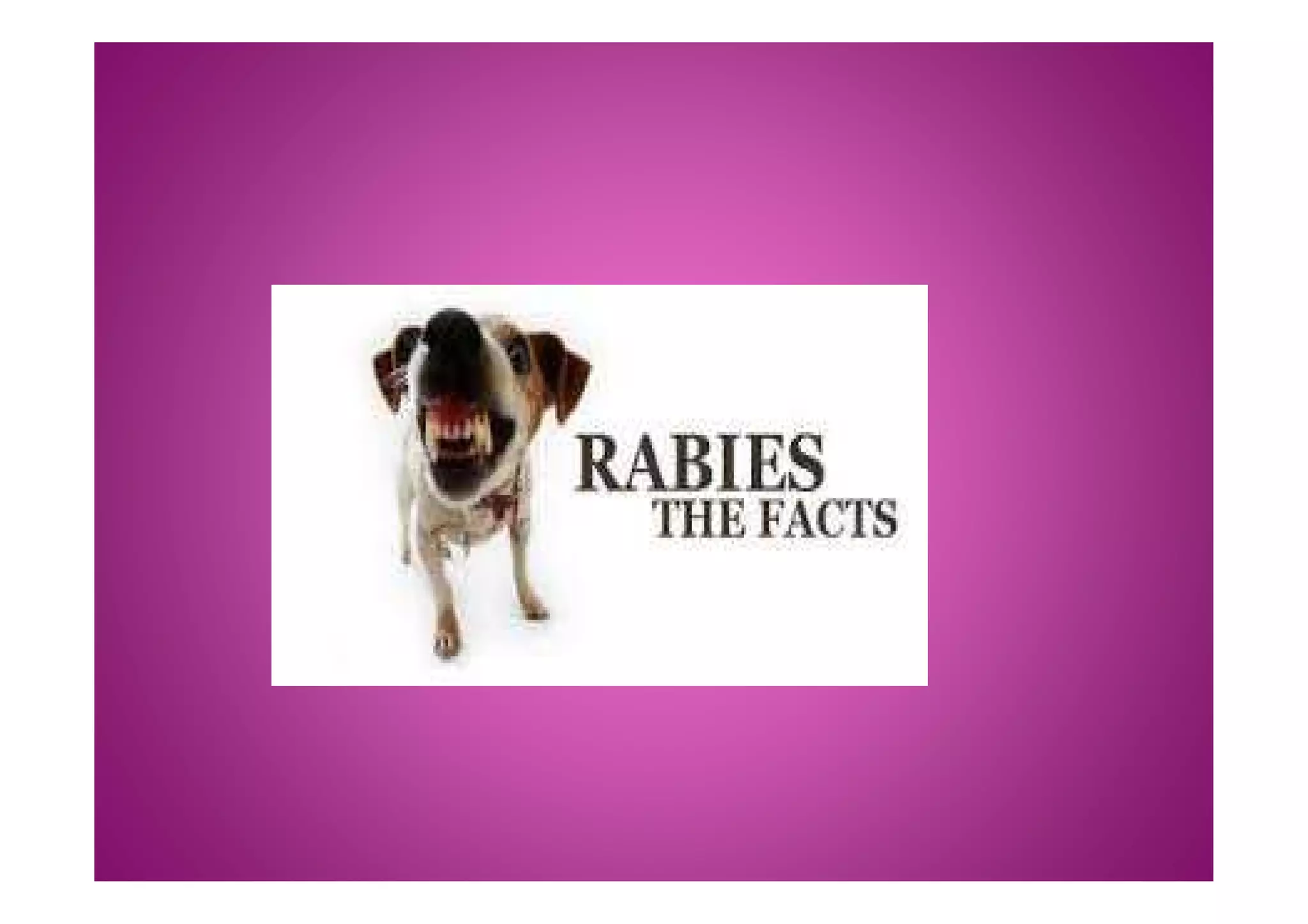 Post exposure prophylaxis in Rabies | PDF