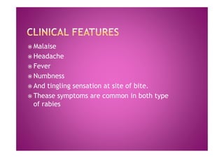 Post exposure prophylaxis in Rabies | PDF