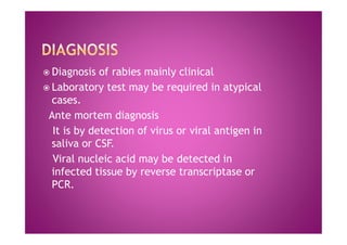 Post exposure prophylaxis in Rabies | PDF