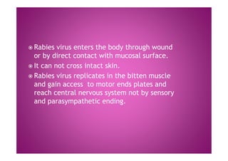 Post exposure prophylaxis in Rabies | PDF