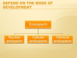 Post fertilization changes | PPTX