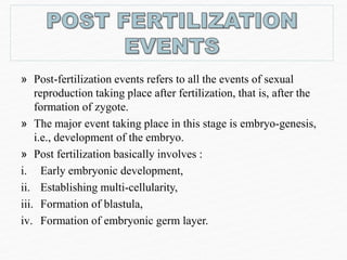 Post Fertilization In Plants