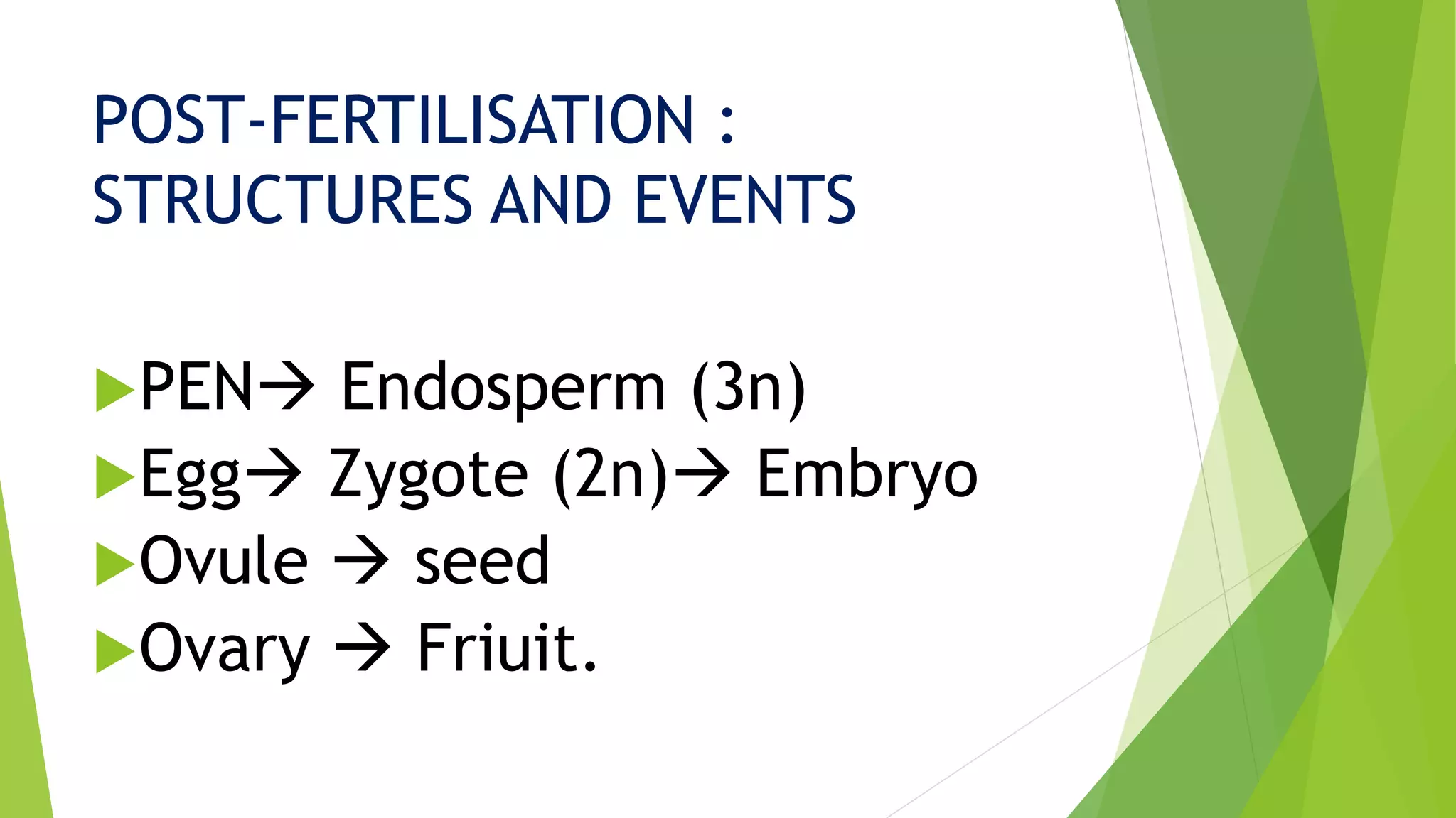 Post fertilization structures in plants. | PPTX