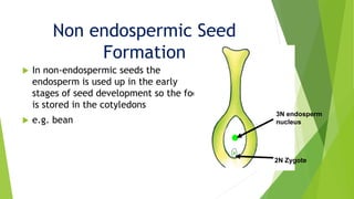 Post fertilization structures in plants. | PPTX