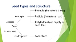 Post fertilization structures in plants. | PPTX