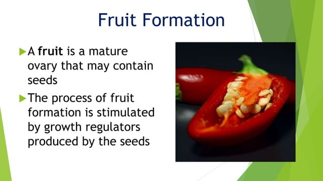 Post fertilization structures in plants. | PPTX | Infertility ...