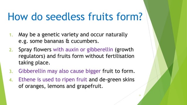 Post fertilization structures in plants. | PPTX | Infertility ...