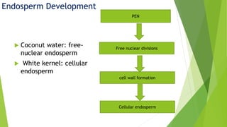 Post fertilization structures in plants. | PPTX