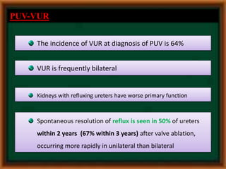 Postfulguration Follow Up of PUV Patients | PPT