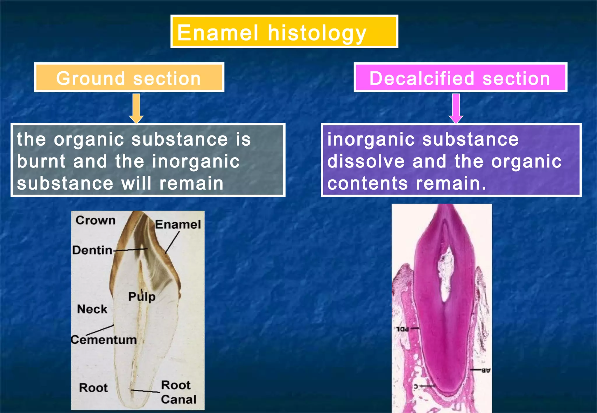 Postgrad. 2013 | PPT