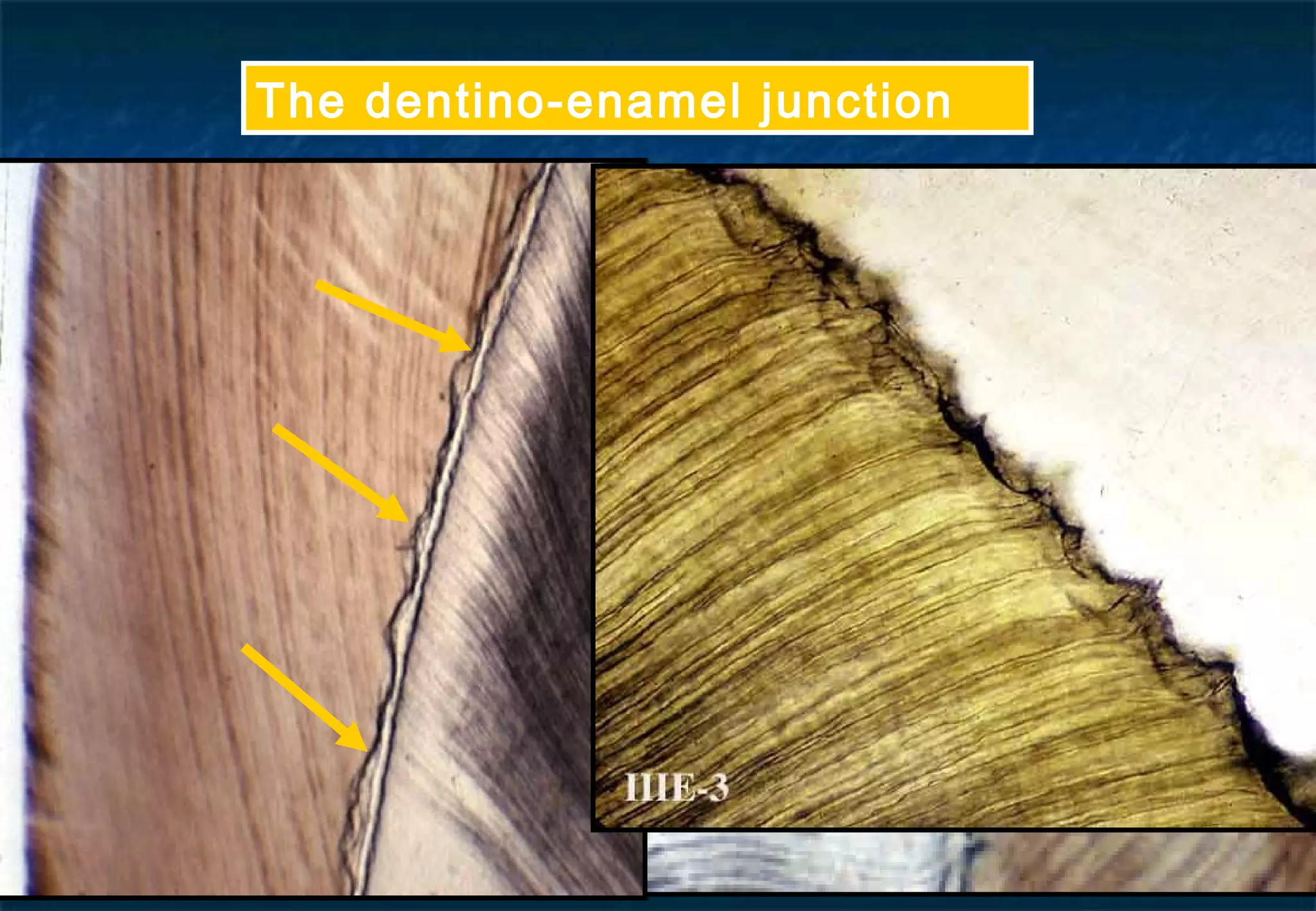 Postgrad. 2013 | PPT
