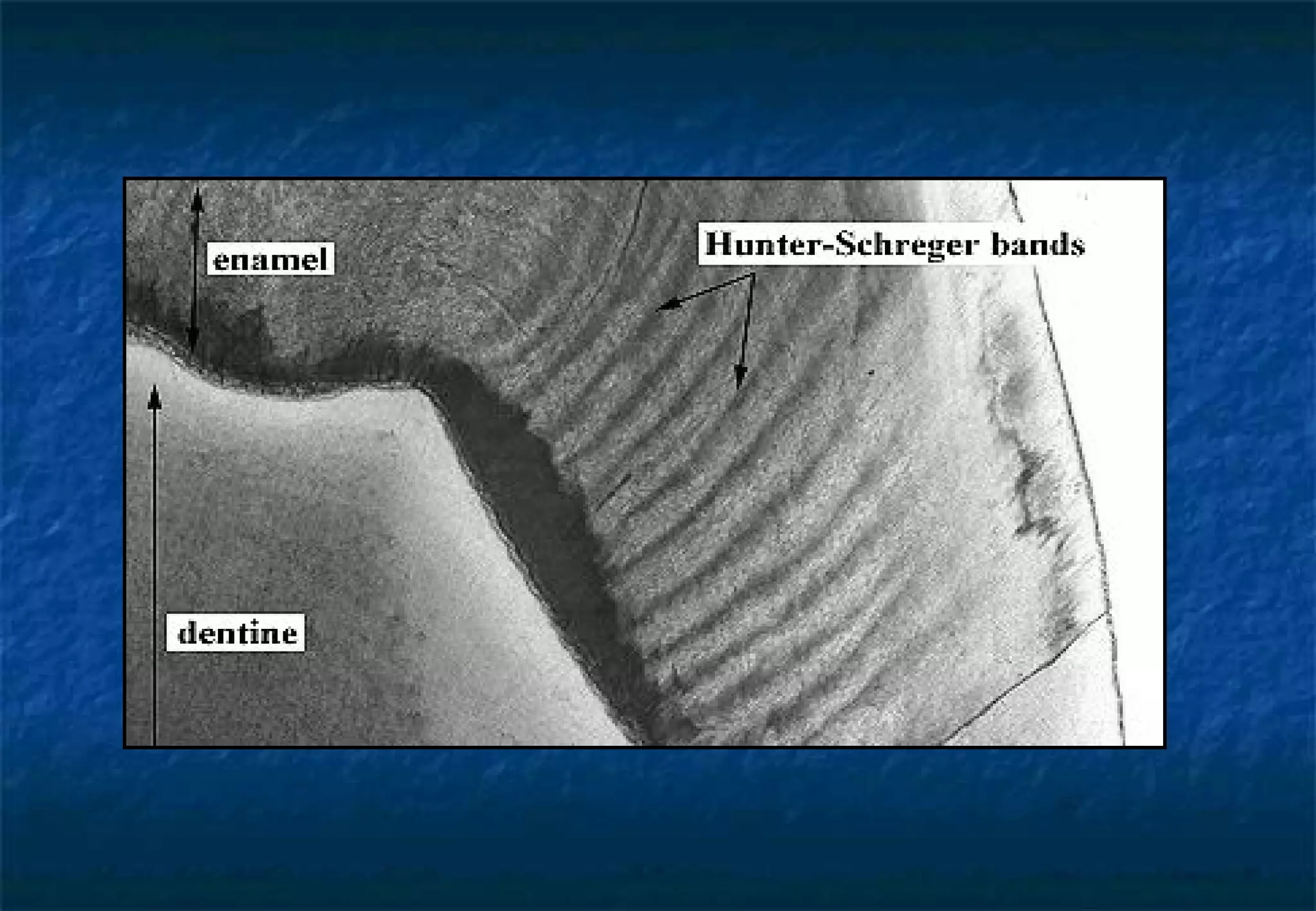 Postgrad. 2013 | PPT