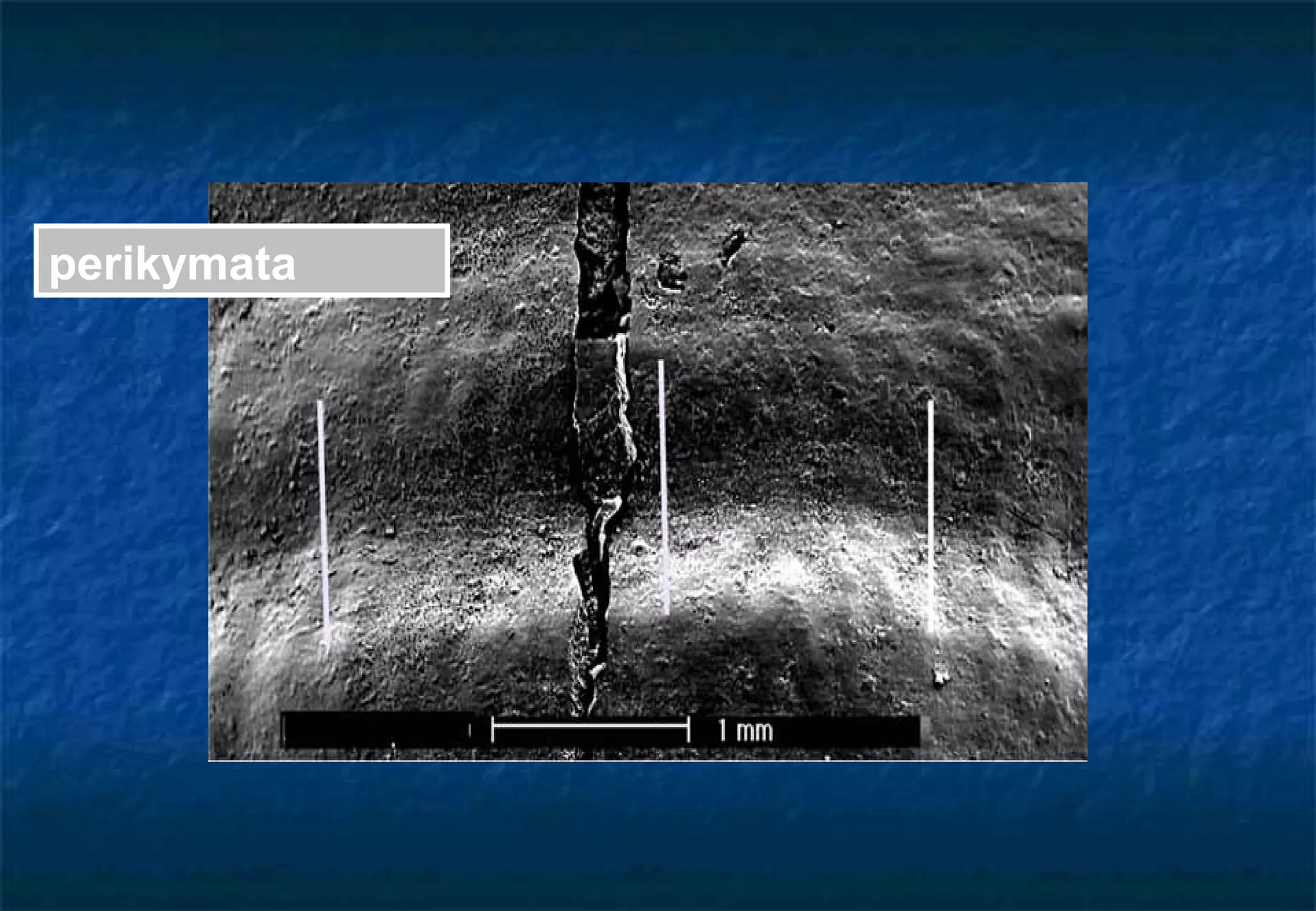 Postgrad. 2013 | PPT