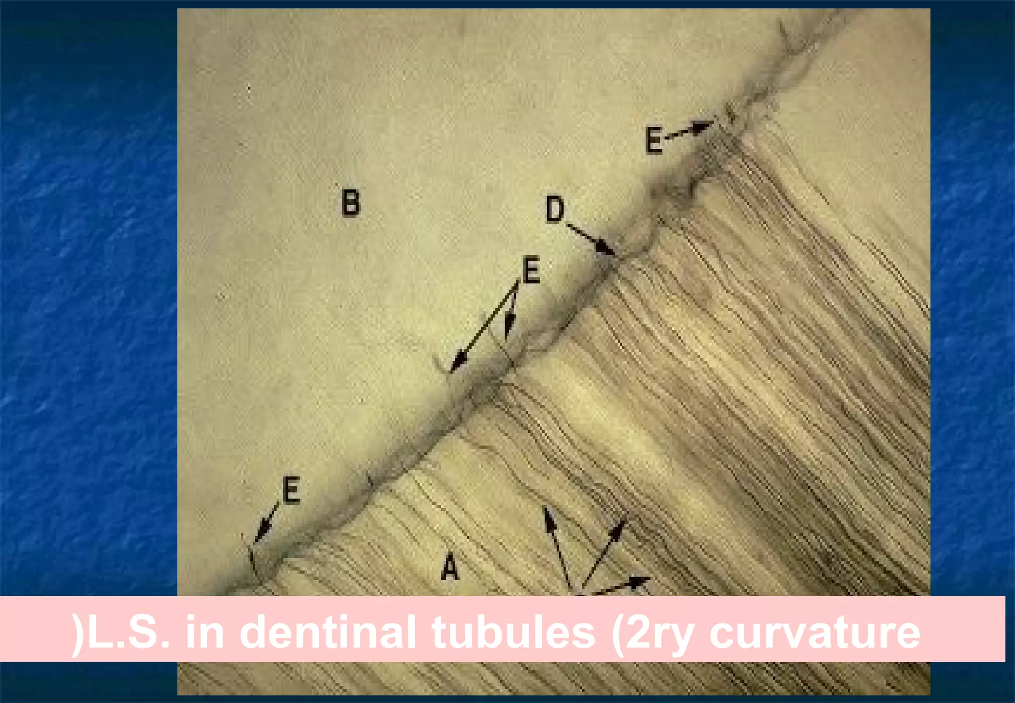 Postgrad. 2013 | PPT