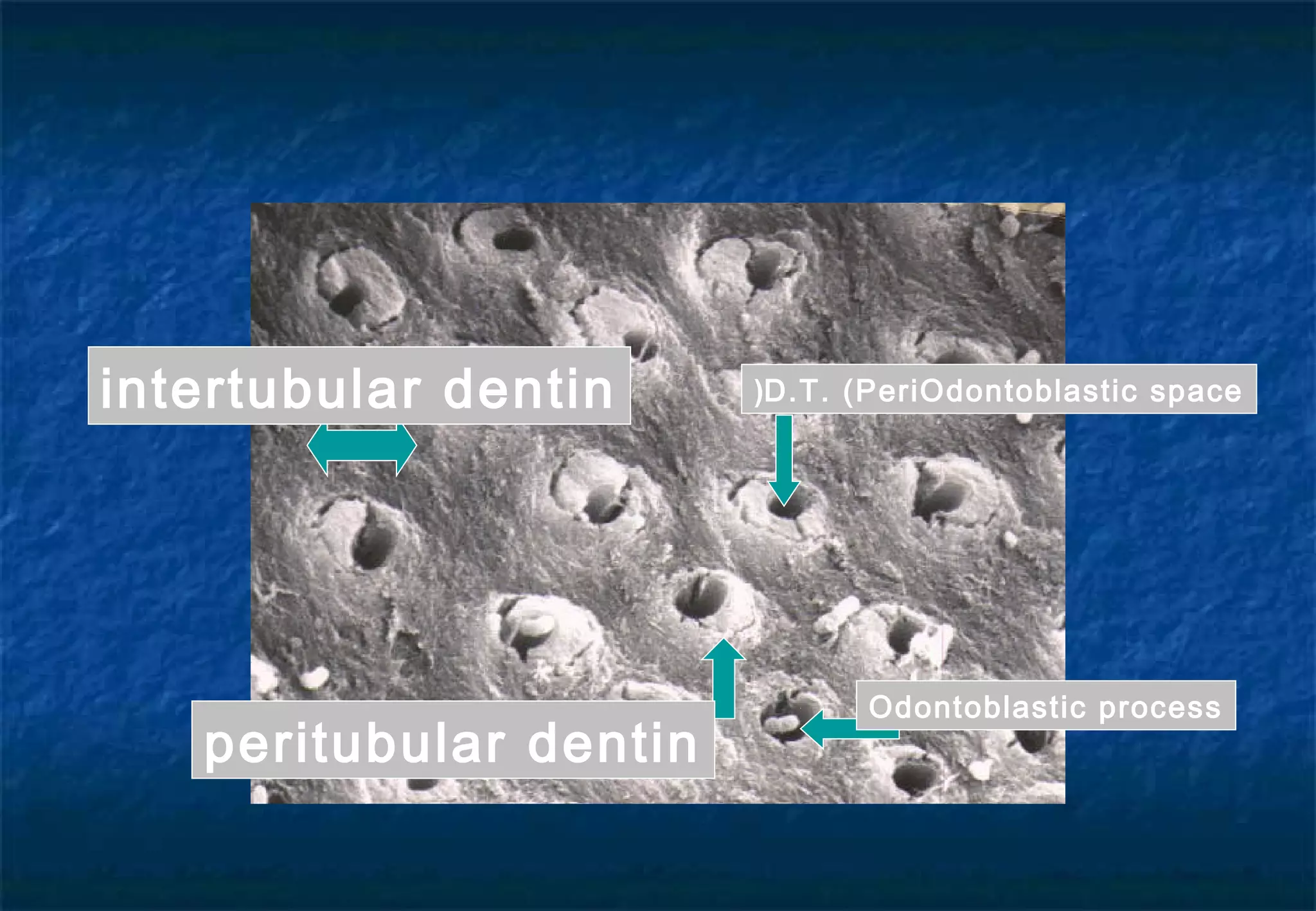 Postgrad. 2013 | PPT