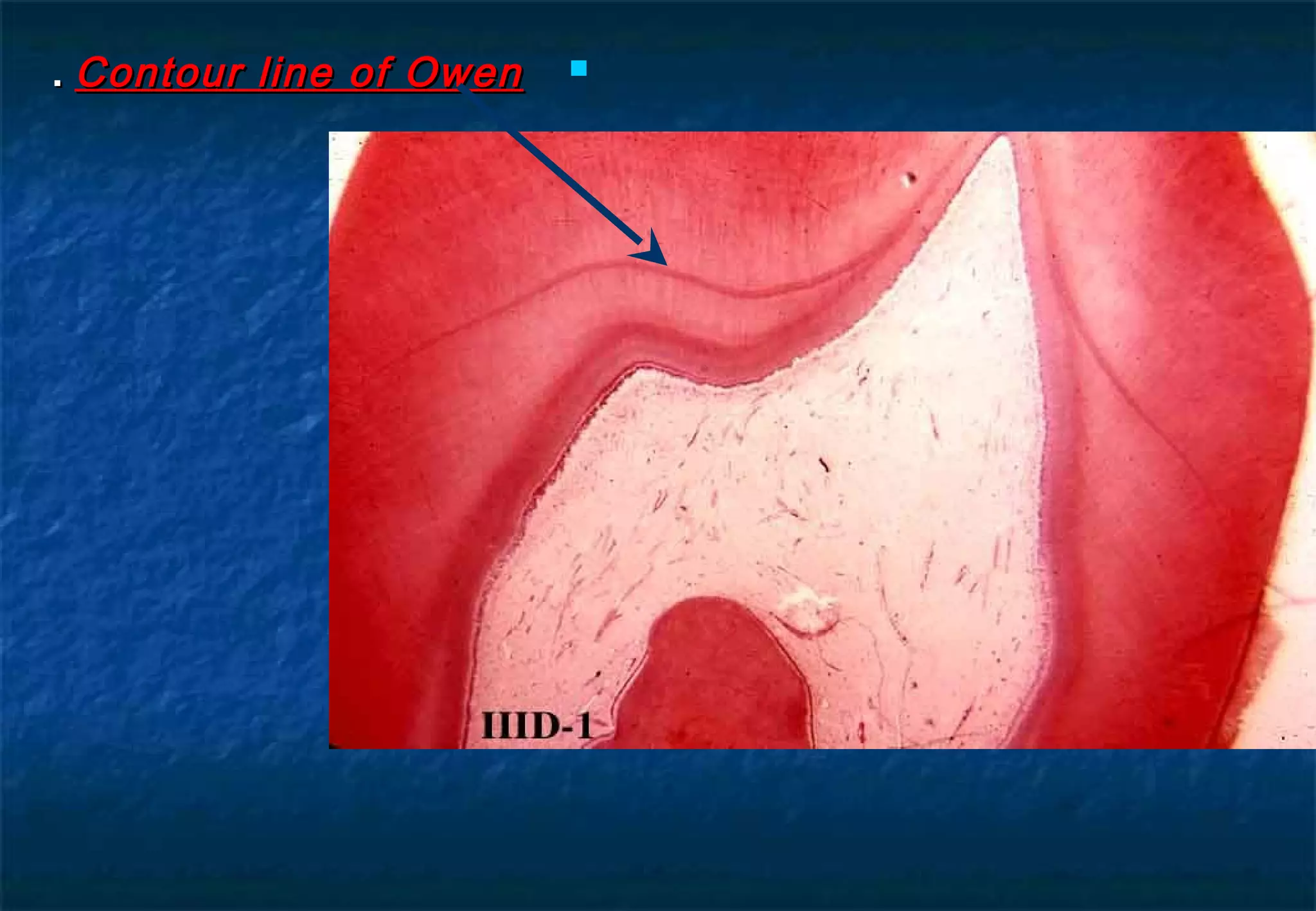 Postgrad. 2013 | PPT