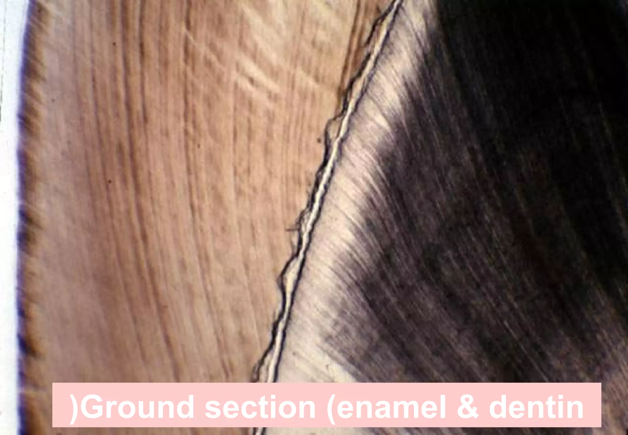 Postgrad. 2013 | PPT