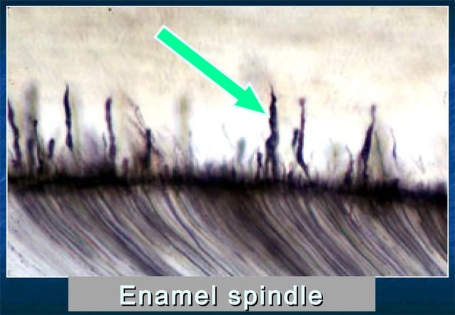 Postgrad. 2013 | PPT