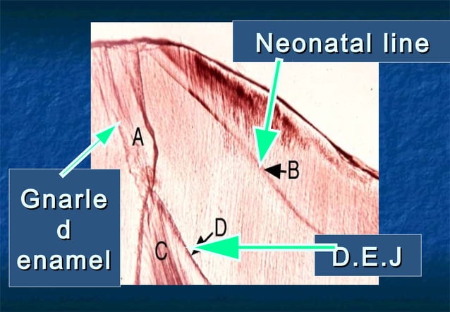 Postgrad. 2013 | PPT