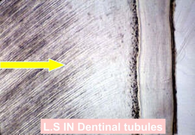 Postgrad. 2013 | PPT