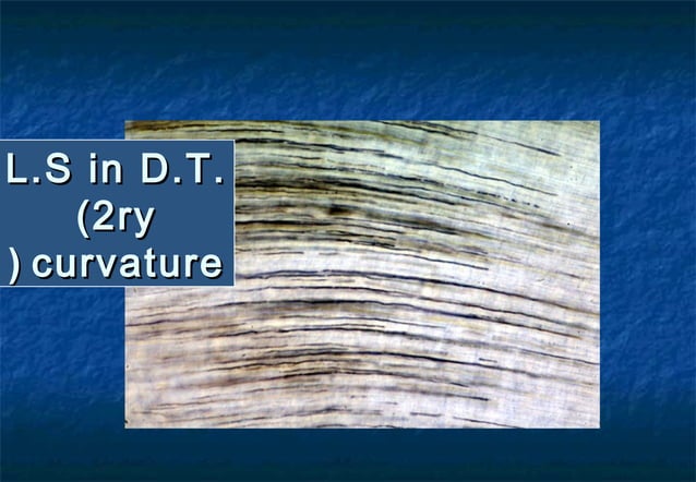 Postgrad. 2013 | PPT