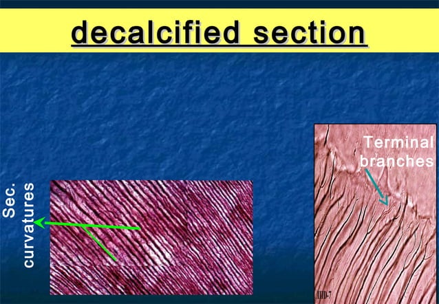 Postgrad. 2013 | PPT