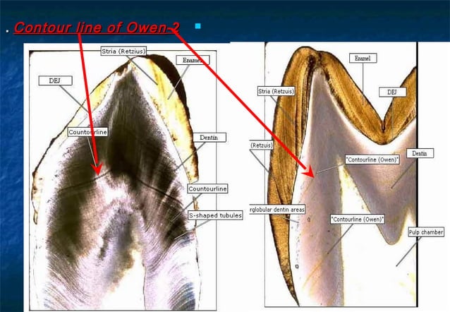 Postgrad. 2013 | PPT