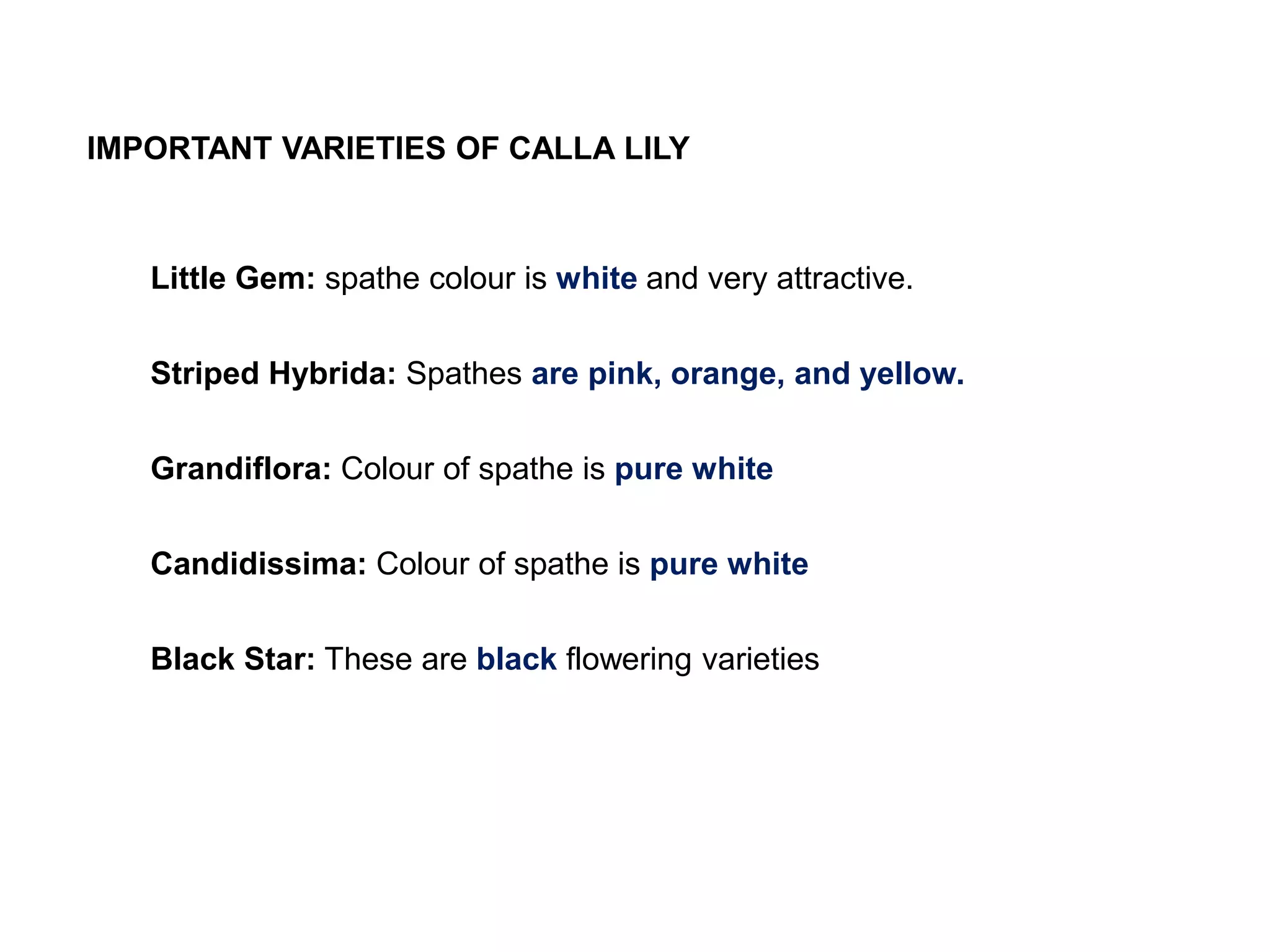 IMPORTANT VARIETIES AND POST HARVEST QUALITY REQUIREMENTS OF GYPSOPHILA ...