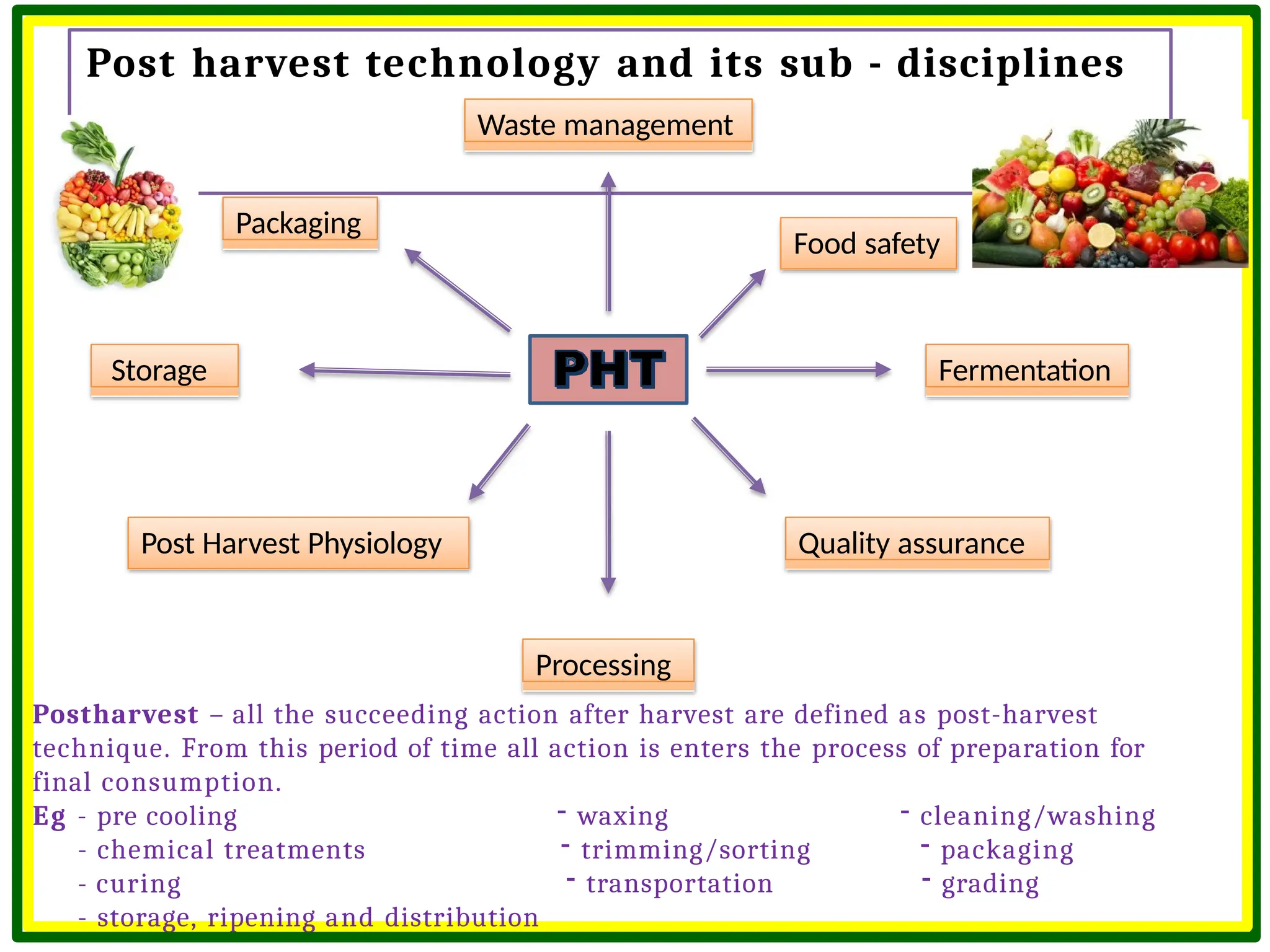 Post Harvest on value addition of fruits and vegetables | PPTX