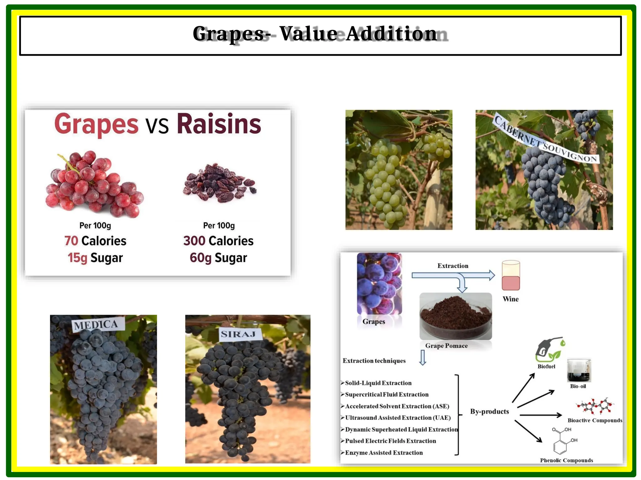 Post Harvest on value addition of fruits and vegetables | PPTX