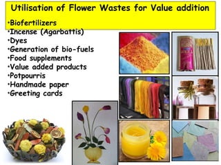 Post Harvest on value addition of fruits and vegetables | PPTX