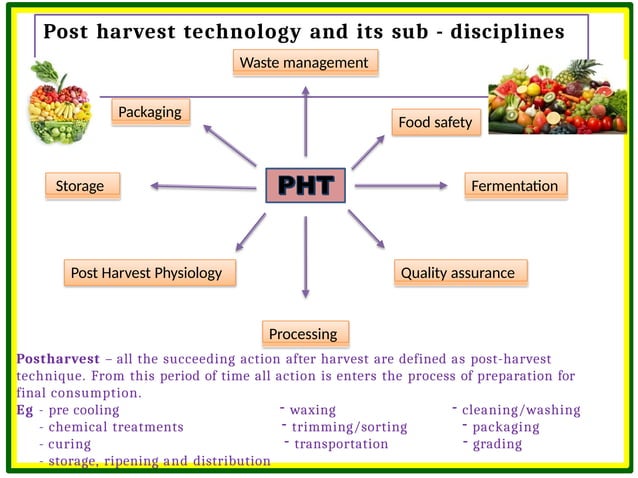Post Harvest on value addition of fruits and vegetables | PPT