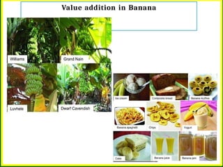 Post Harvest on value addition of fruits and vegetables | PPTX