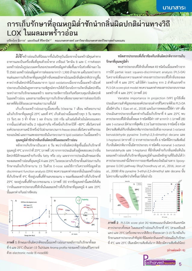 Postharvest Newsletter ปีที่ 18 ฉบับที่ 2 เมษายน - มิถุนายน 2562 | PDF