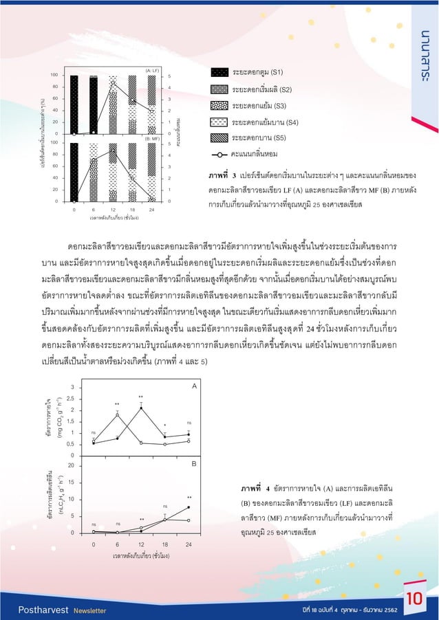 Postharvest Newsletter ปีที่ 18 ฉบับที่ 4 ตุลาคม - ธันวาคม 2562 | PDF
