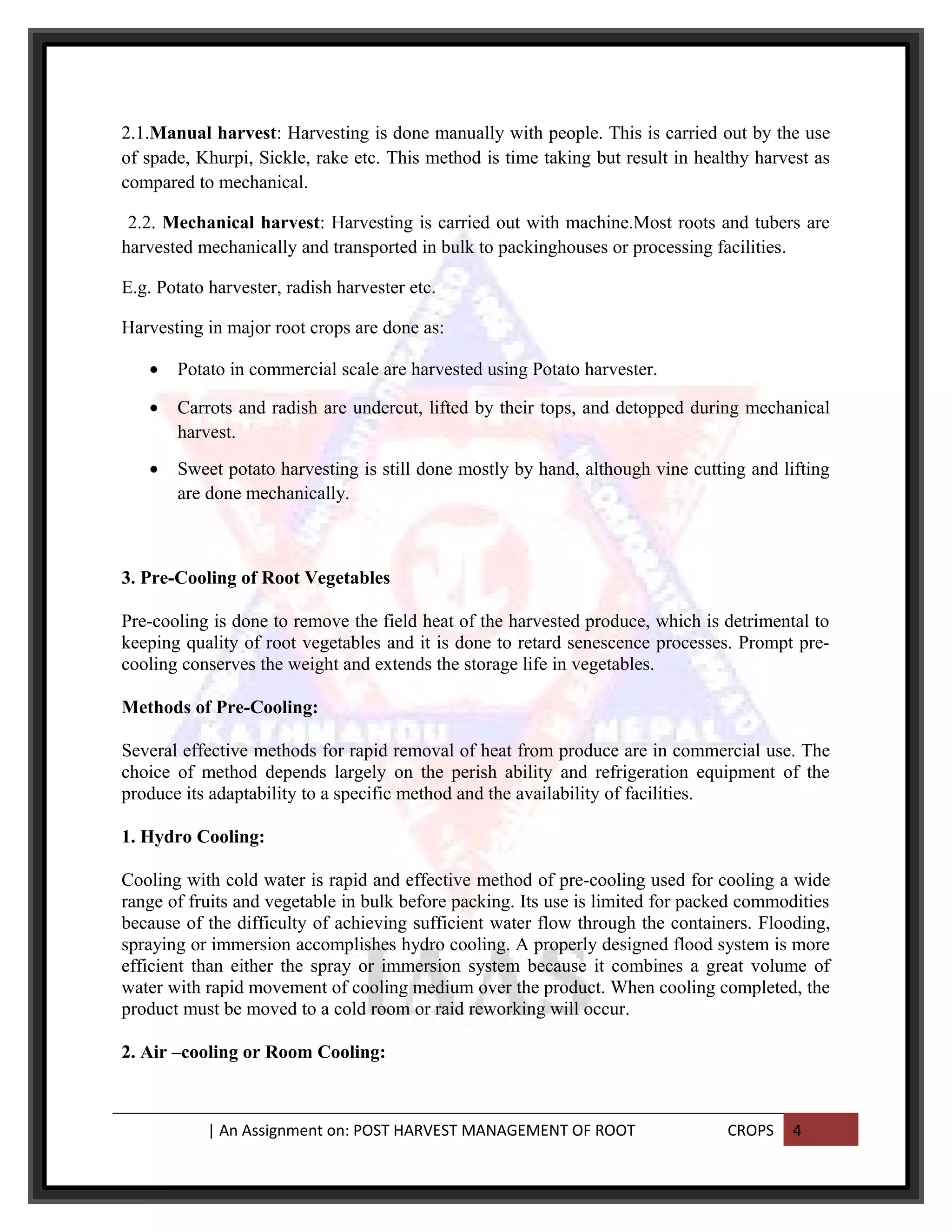 Post harvest management of root crops | DOC