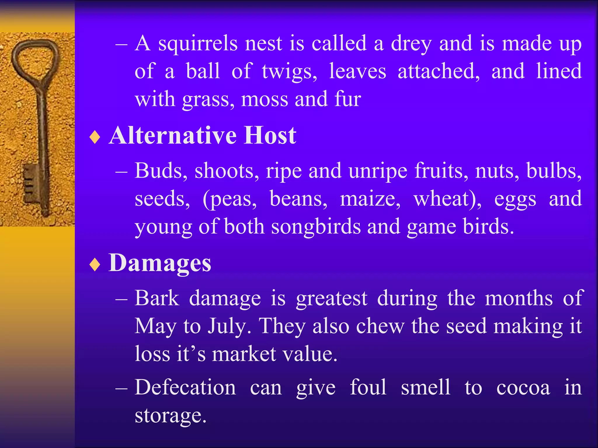 Post harvest cocoa pest | PPT