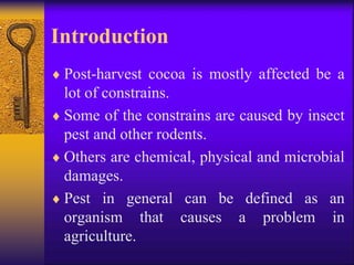 Post harvest cocoa pest | PPT