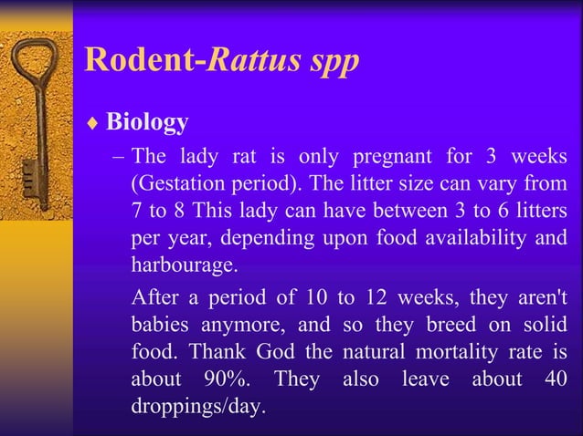 Post harvest cocoa pest | PPT