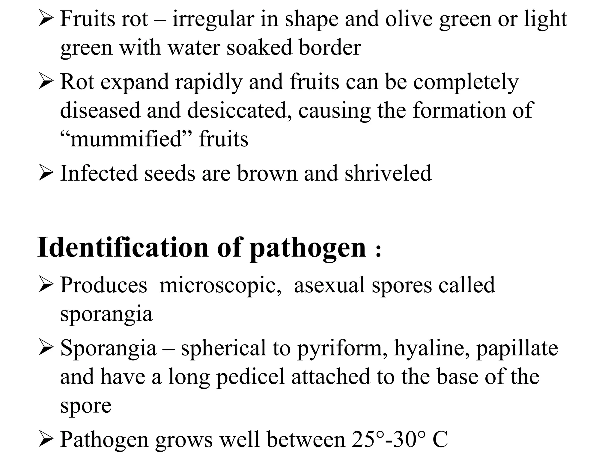 Post harvest diseases of chilli | PPTX