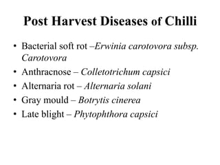Post harvest diseases of chilli | PPTX
