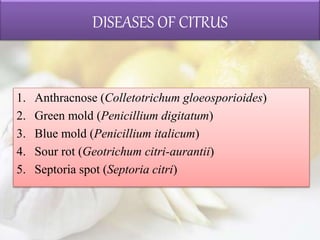 Post harvest diseases of citrus and garlic | PPTX