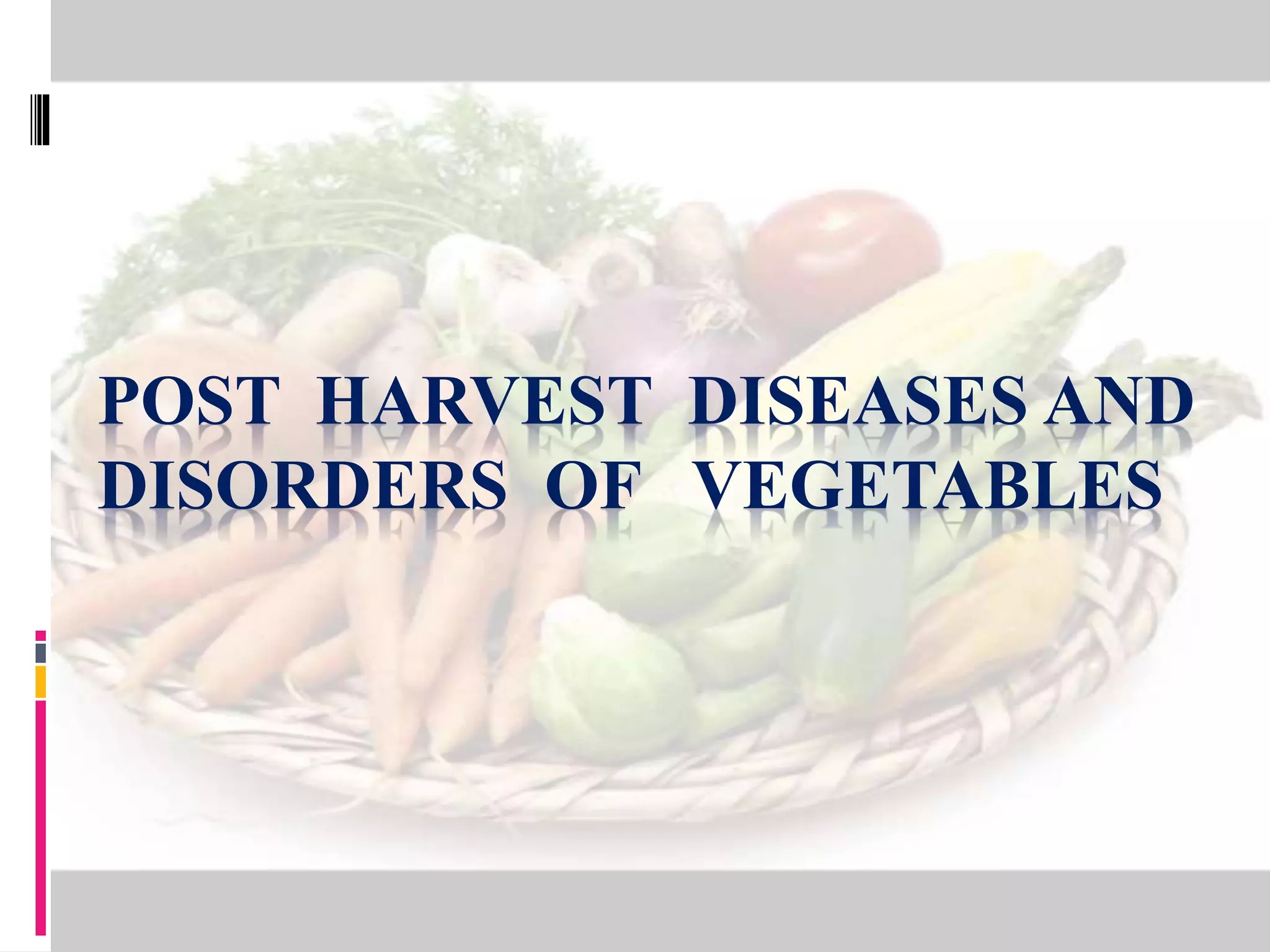 Post harvest diseases of vegetables | PPTX