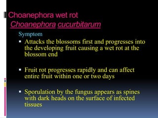 Post harvest diseases of vegetables | PPTX