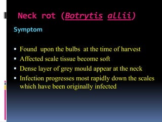 Post harvest diseases of vegetables | PPTX