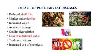 PostHarvest diseases under protected cultivation.ppt