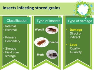 Post harvest Entomology.pdf